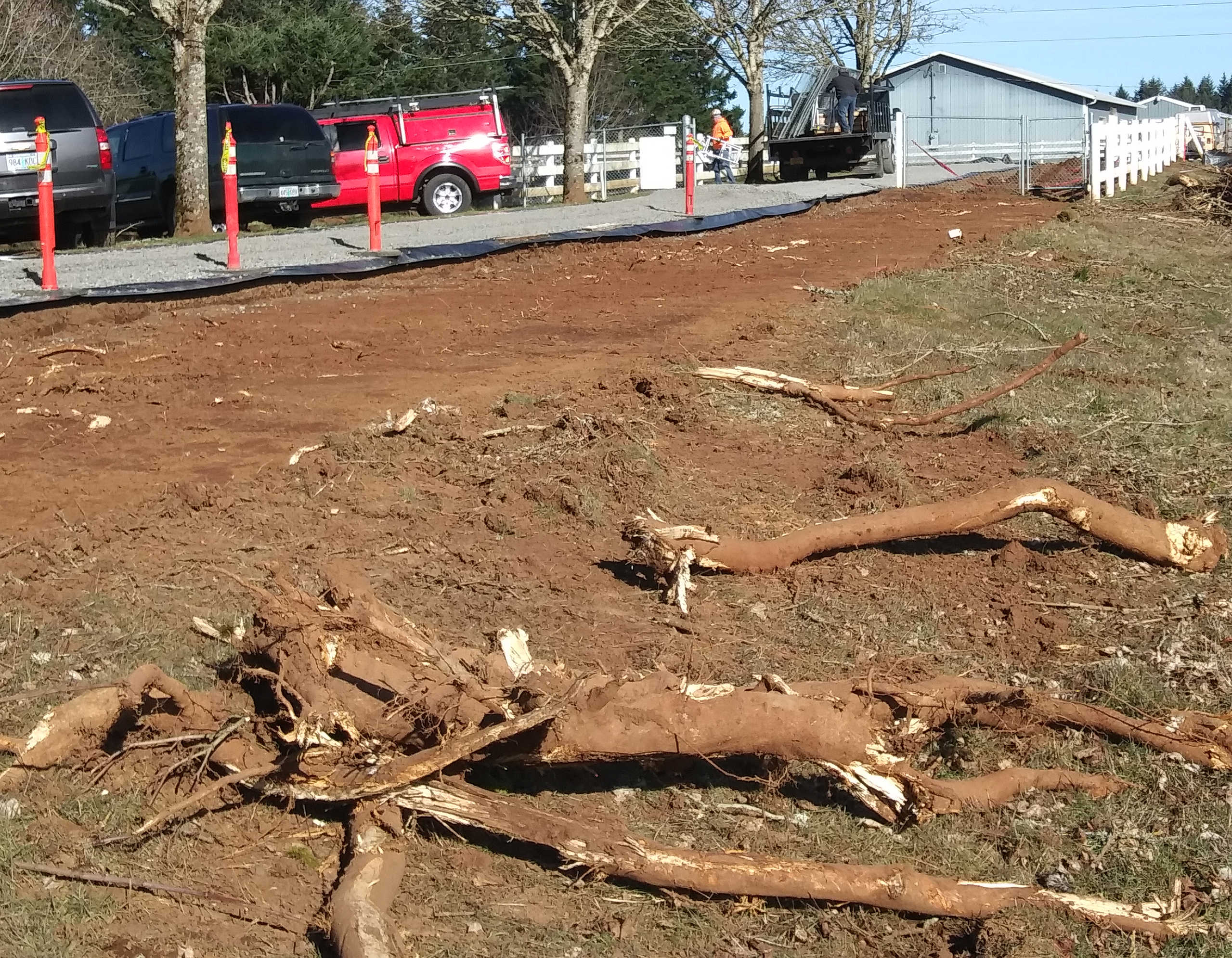 5Mar2019-Tree_roots_under_driveway-2560px – Clackamas Soil and Water ...